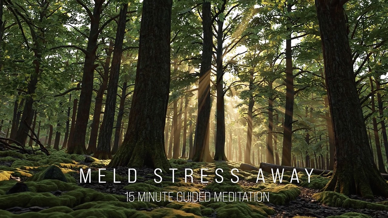 15-Minute Guided Forest Meditation for Managing Stress & Anxiety - YouTube