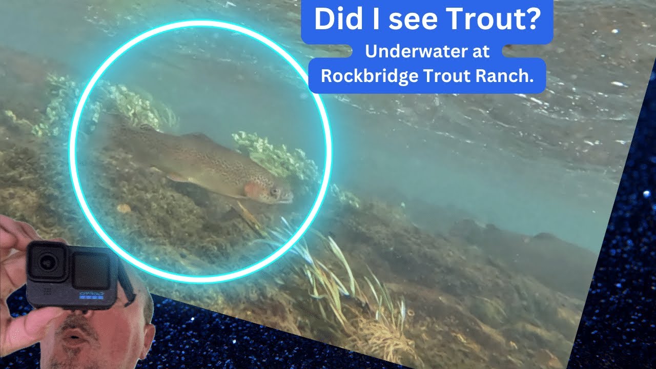 Did I see Trout? Underwater at Rockbridge Trout Ranch. - YouTube