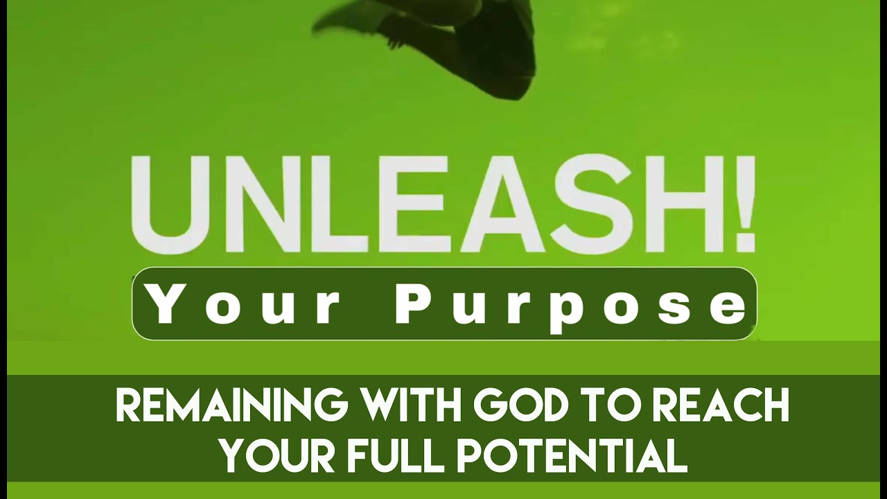 Unleash Your Purpose: Remaining with God to Reach Your Full Potential ...