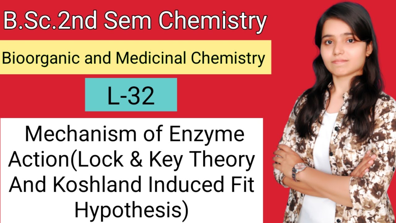B.Sc.2ndChemistry Mechanism of Enzyme Action(Lock & Key Theory And ...