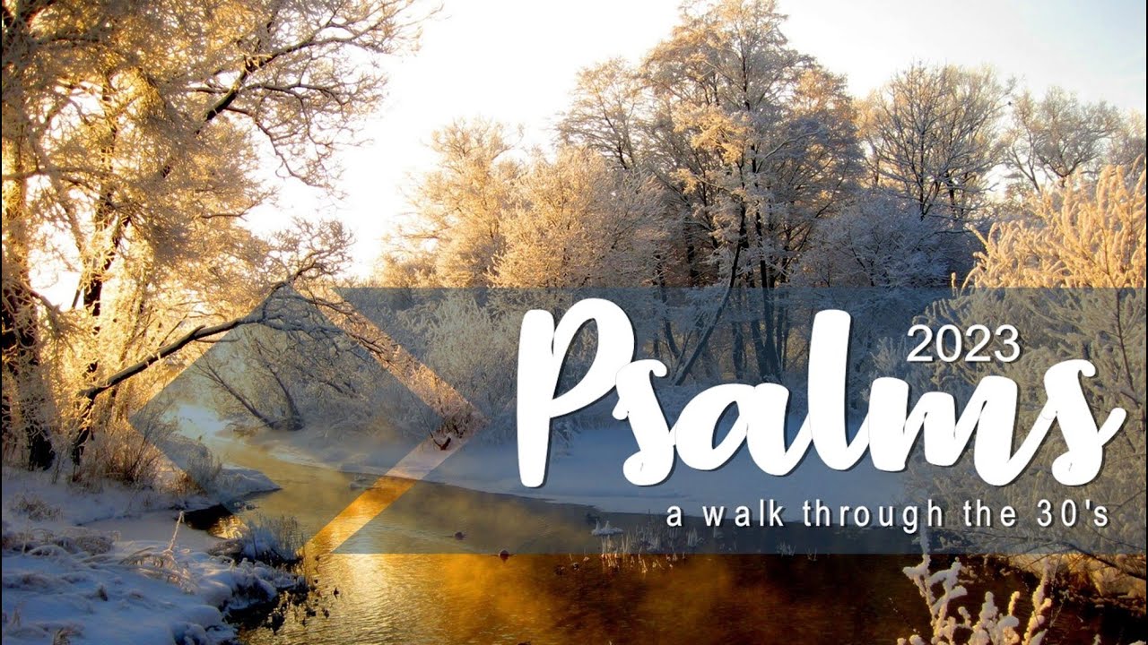 Psalm 35: Vindicate Me, O Lord - YouTube