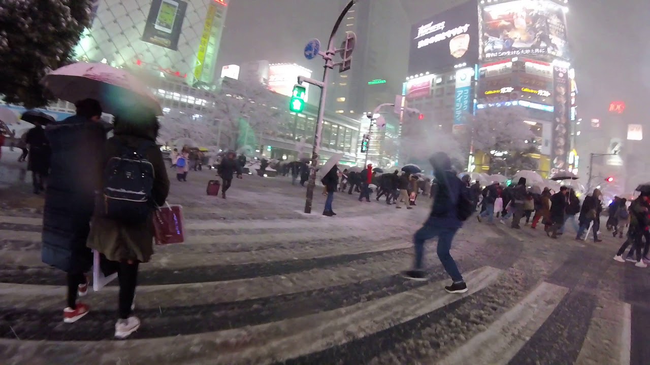 Tokyo Snow 2018 Shibuya Crossing - YouTube