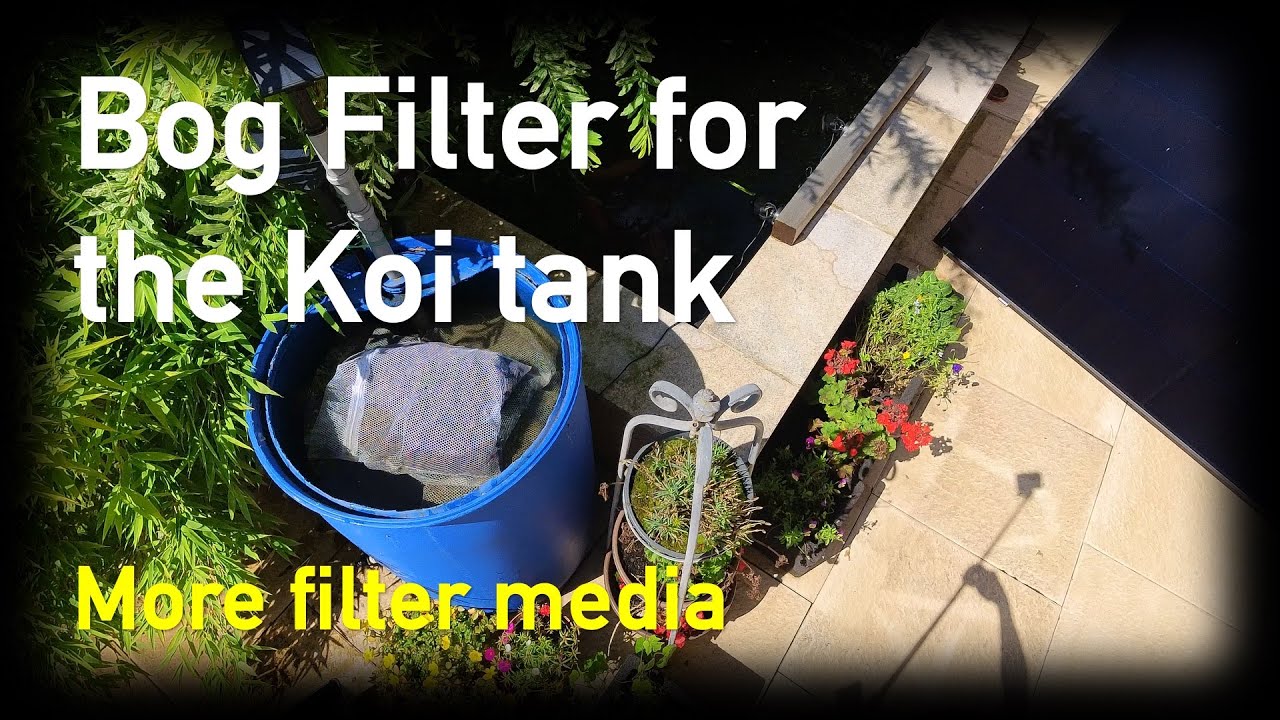 Bog Filter for the Koi tank - new filter media - YouTube