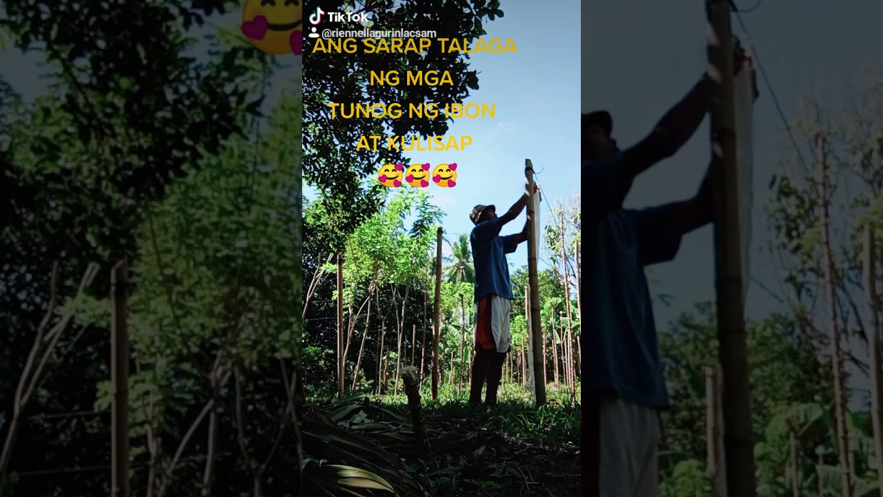 Trabahong bukid - YouTube Trabahong bukid - YouTube