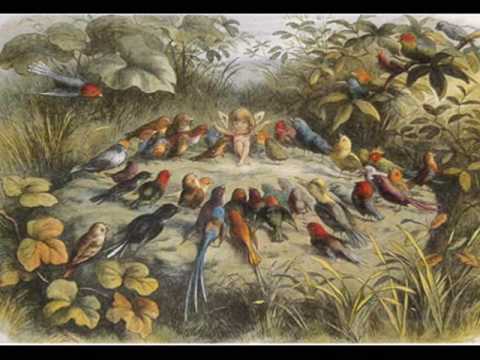 Fairies - Hadas en la pintura - YouTube