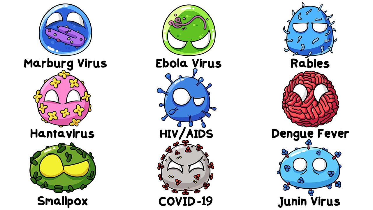 Every DEADLY Virus Explained in 12 Minutes - YouTube