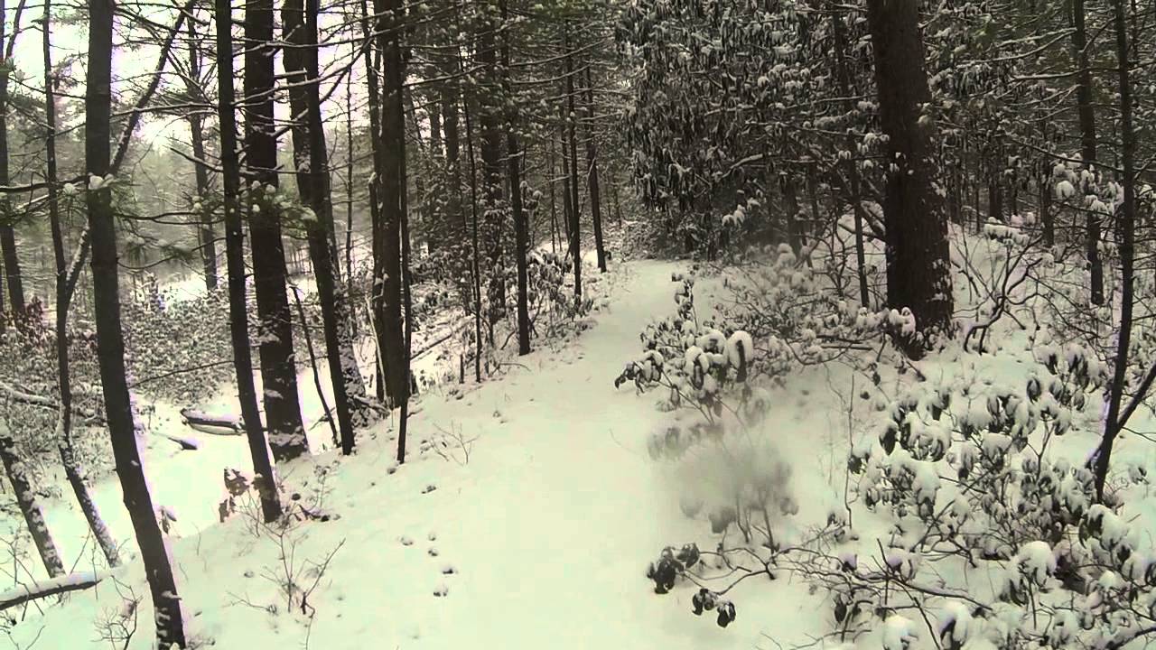 Snowy walk in the woods to a snow covered pond - YouTube