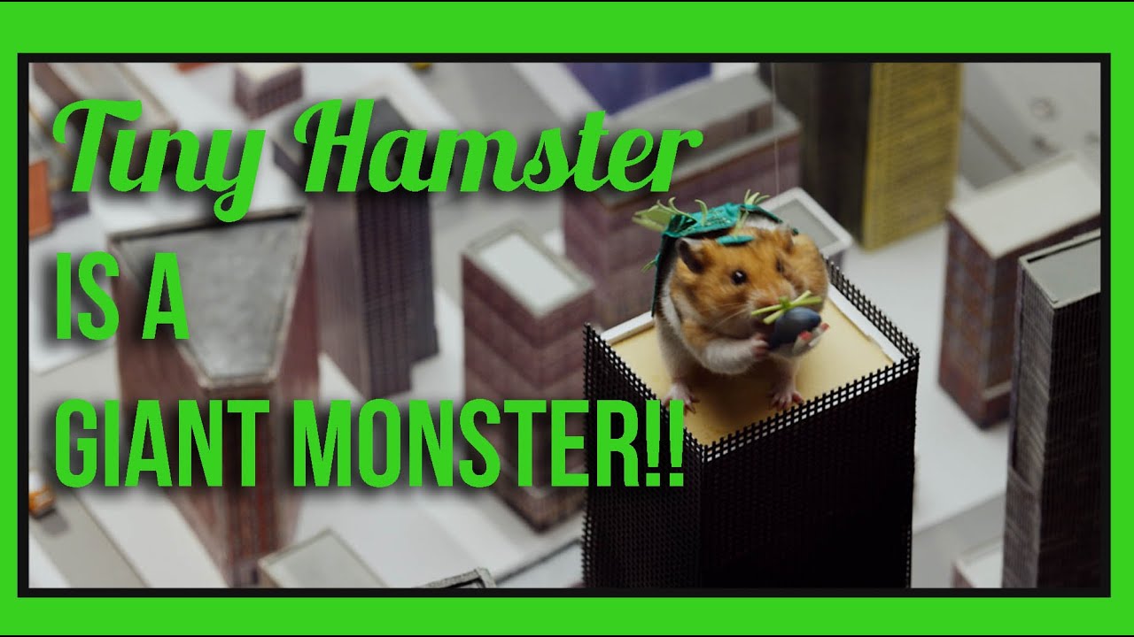Ep 7 - Tiny Hamster Turned Into a Giant Monster - YouTube