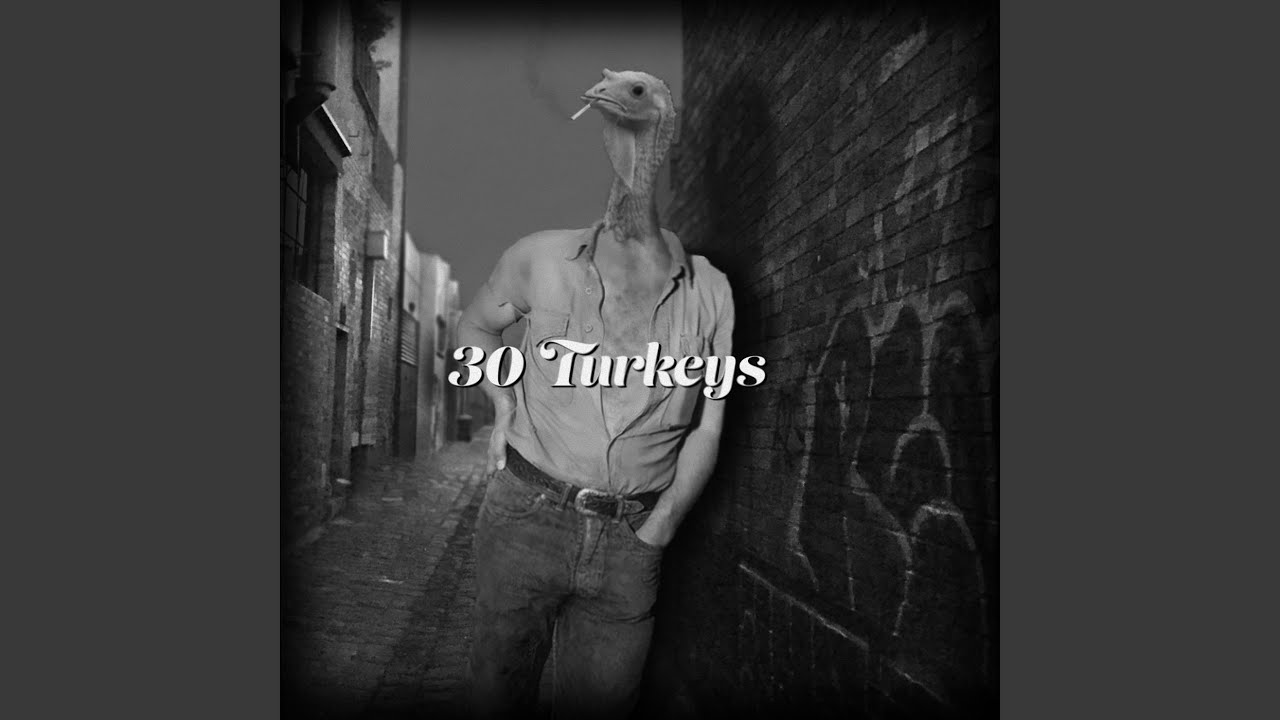 30 Turkeys - YouTube