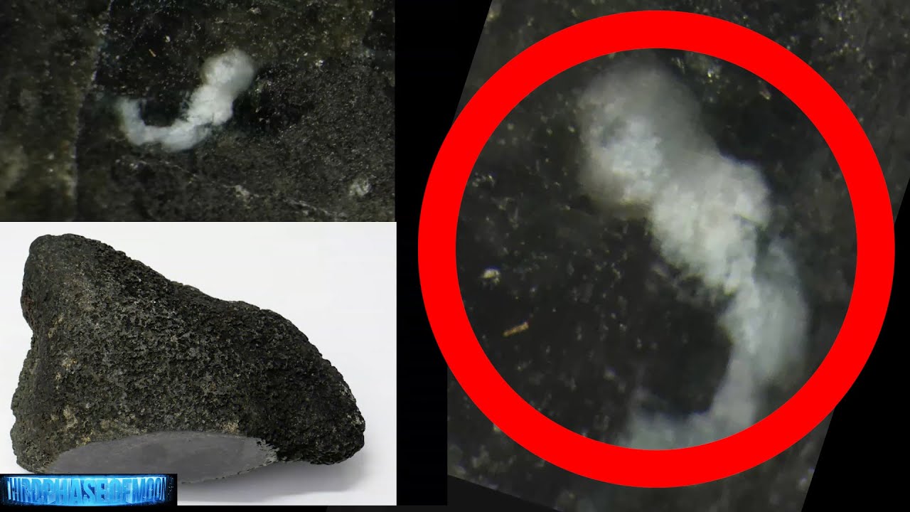 Major Discovery! NASA TEST Crystallized Humanoid In Moon Meteorite ...