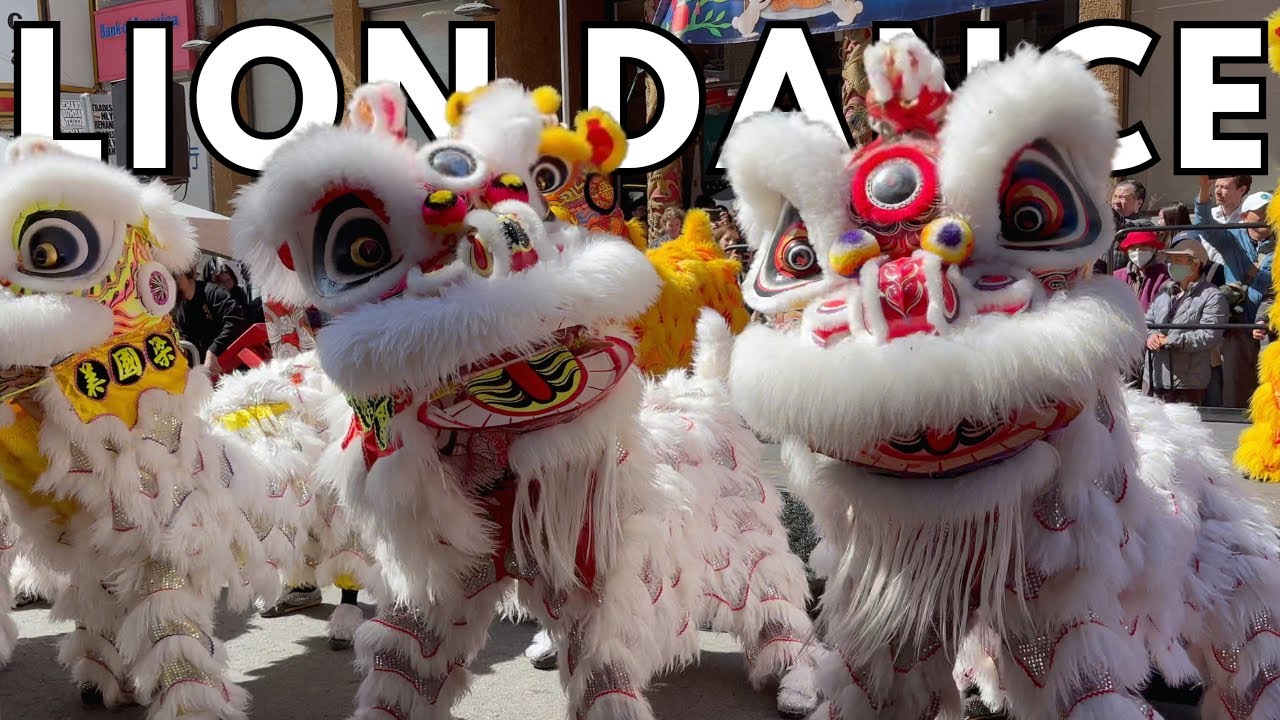 Mid Autumn Festival & Lion Dance Festival Lion Dance Performance - YouTube
