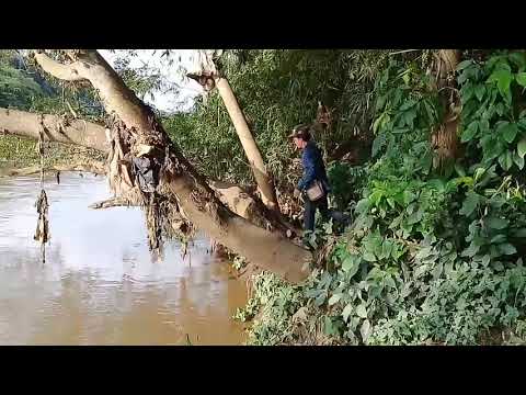 #mancing di sadane terbaru#mancing jeng wa tere part2