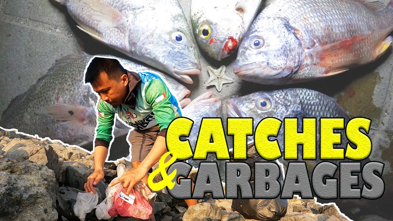 I Clean Up Our Favorite Spot Then The Sea Gave Us Big Catches - YouTube