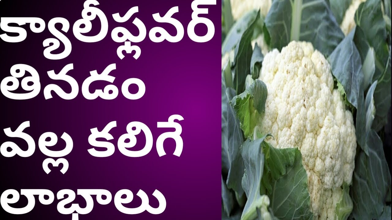 Excellent Health Benefits of Cauliflower! Cauliflower! @LandDHealthTips ...