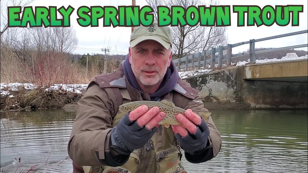 Early Spring Brown Trout Fishing - YouTube