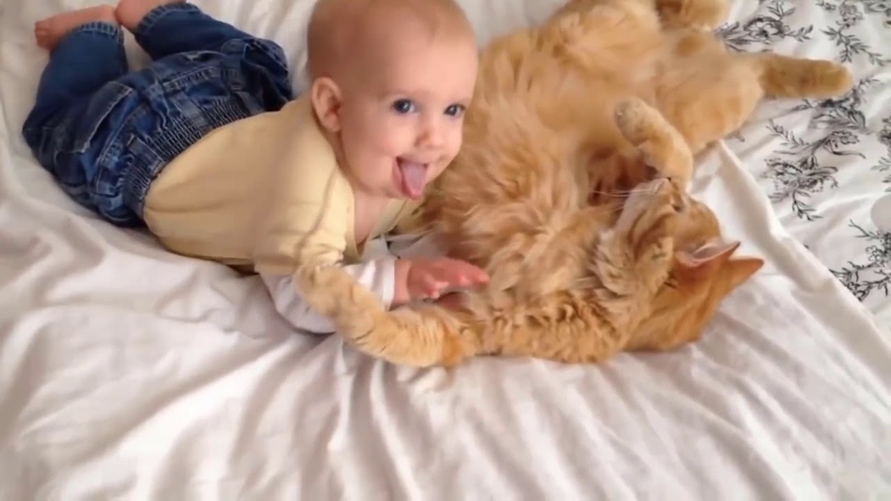 Cutest and funniest Baby and Cat Fails Video - Funny Babies and cats ...