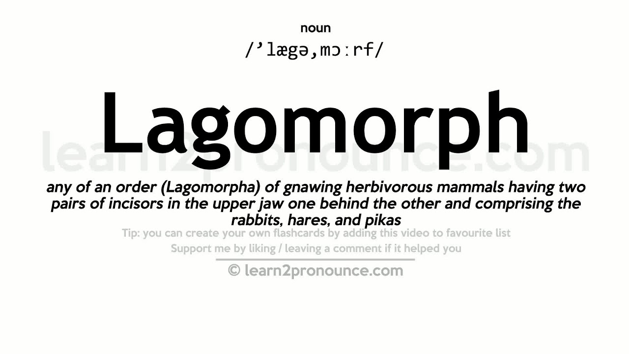 Pronunciation of Lagomorph | Definition of Lagomorph - YouTube