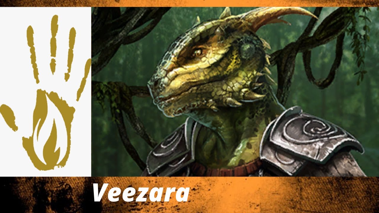 Dark Brotherhood: Veezara - YouTube