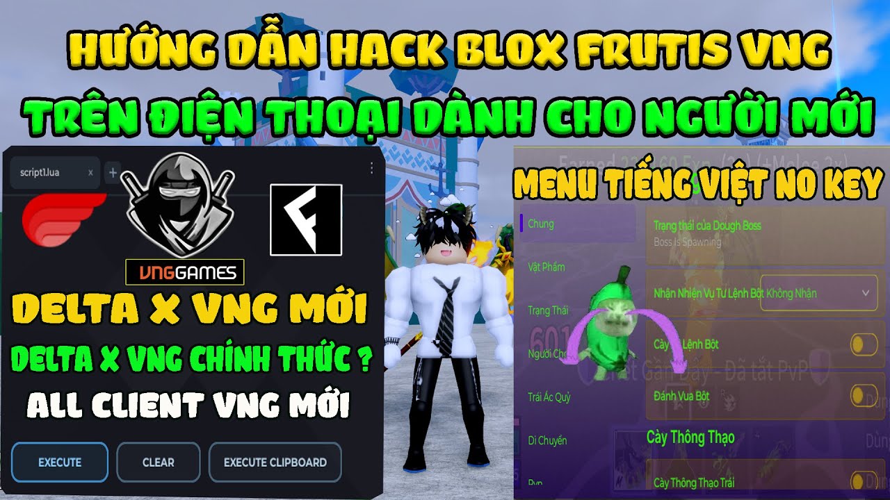Hướng Dẫn Hack Blox Fruits 22 DELTA X VNG Mới ? Fix Lỗi Update Trên ...
