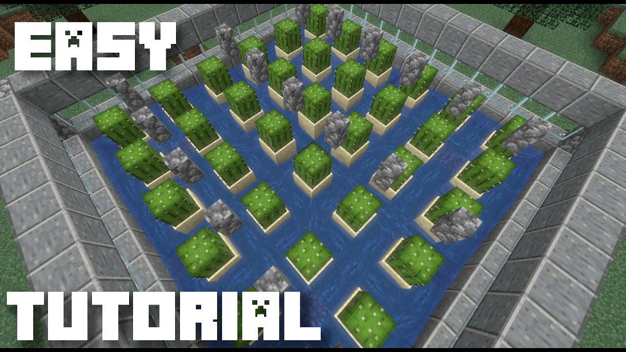 How to Build a Cactus Farm in Minecraft - YouTube