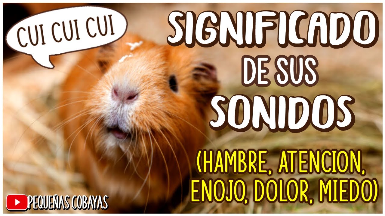 SONIDOS de los CUYOS y SU SIGNIFICADO - YouTube