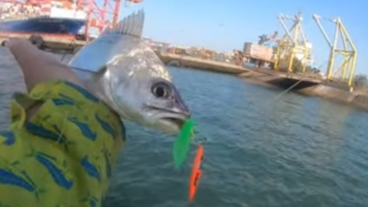 Kob'Ing -Durban Harbour Fishing -Sept 2023 - YouTube