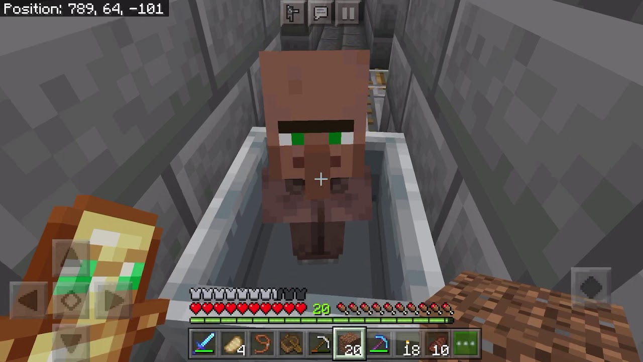 How to transfer villager minecraft - YouTube