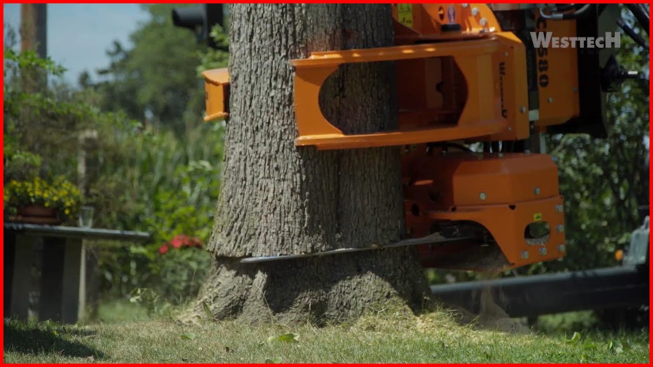 Amazing Modern With Long Reach Excavator Cutting Big Tree Working ...