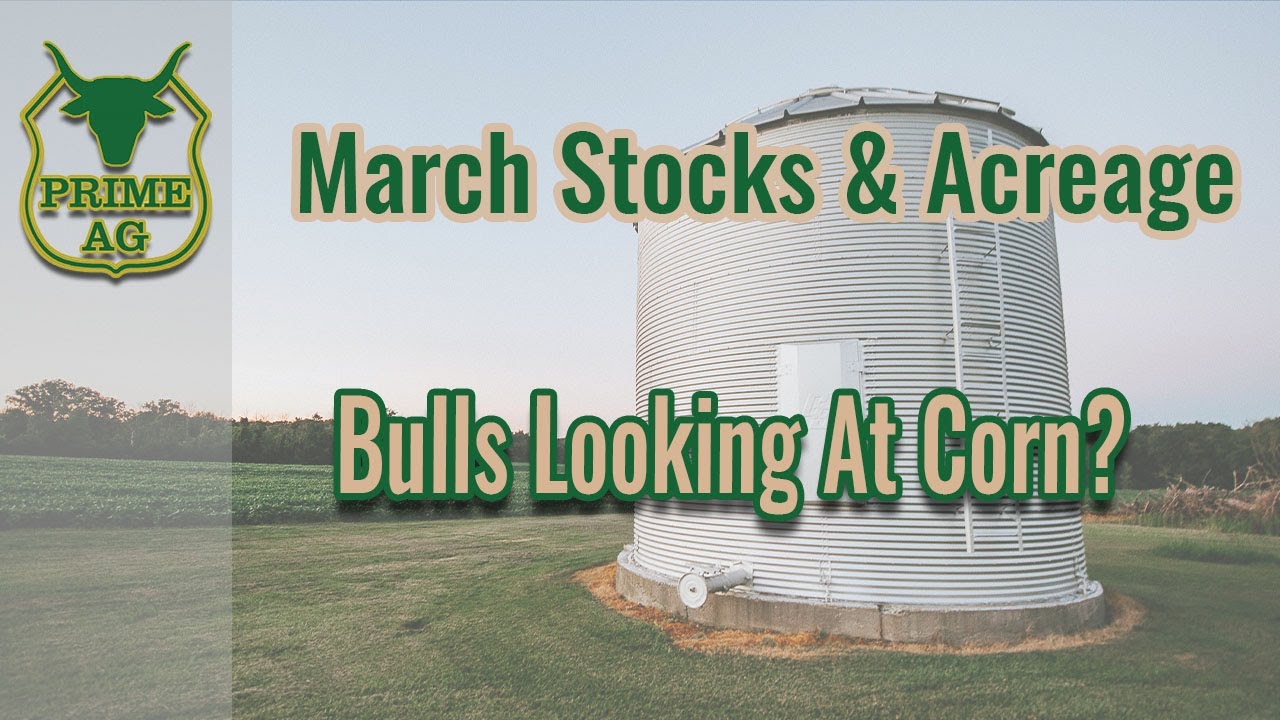 USDA Report March | Stocks & Acreage Report - YouTube