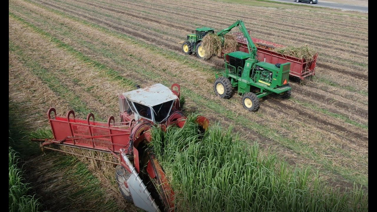 2022 Louisiana Cane Planting 4K - YouTube