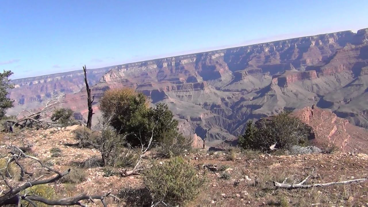 Grand Canyon mule rides - YouTube