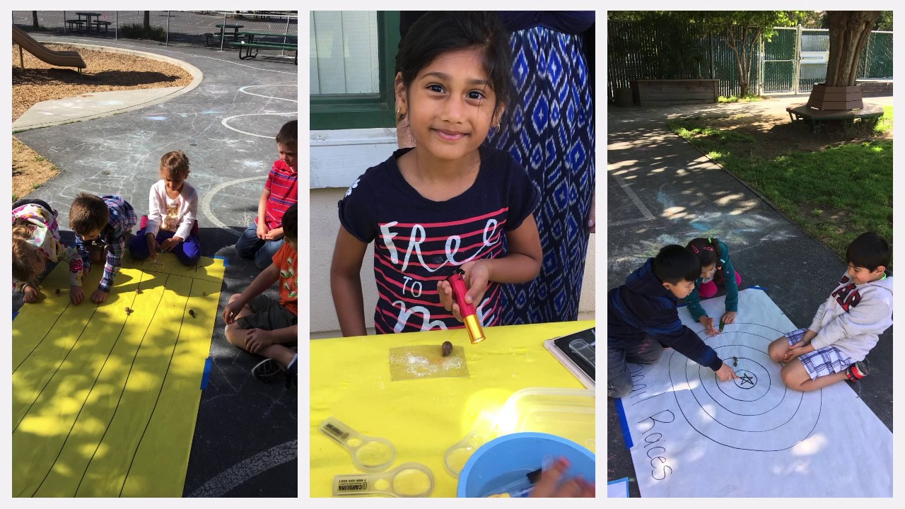 Snail Day 2017 - YouTube