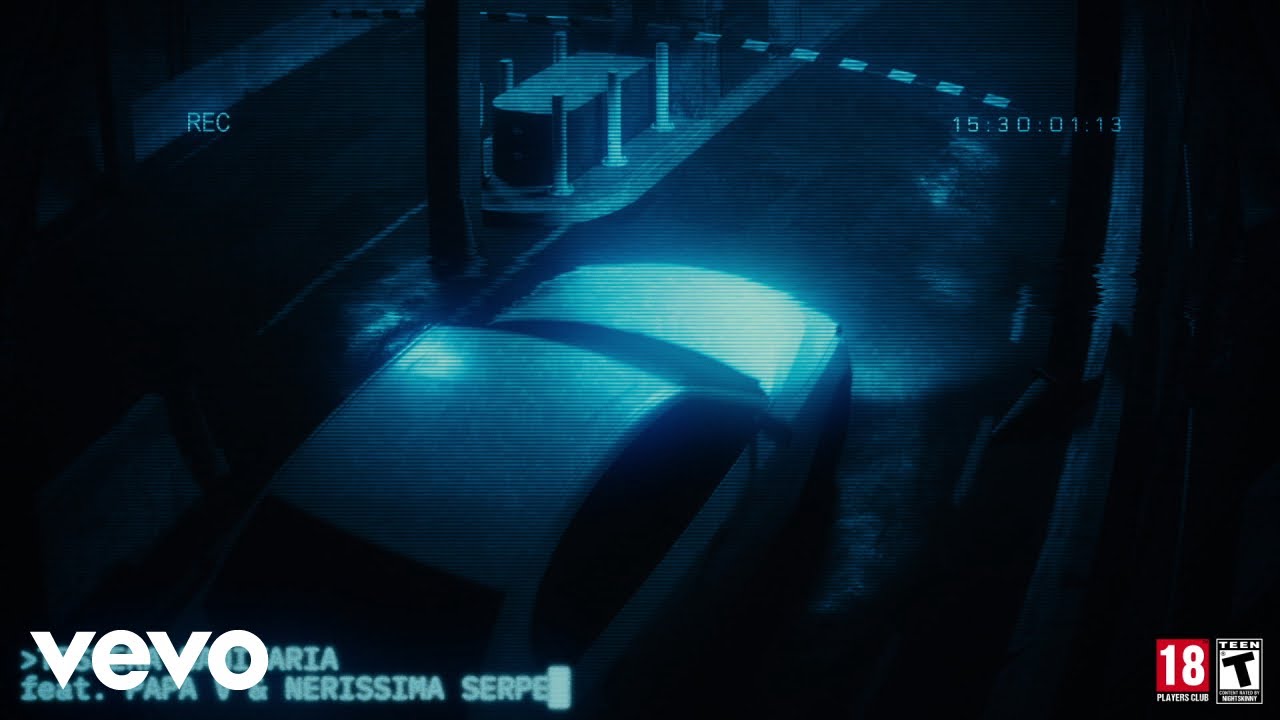 Tessera sanitaria - Night Skinny, Nerissima Serpe & Papa V: Song Lyrics ...