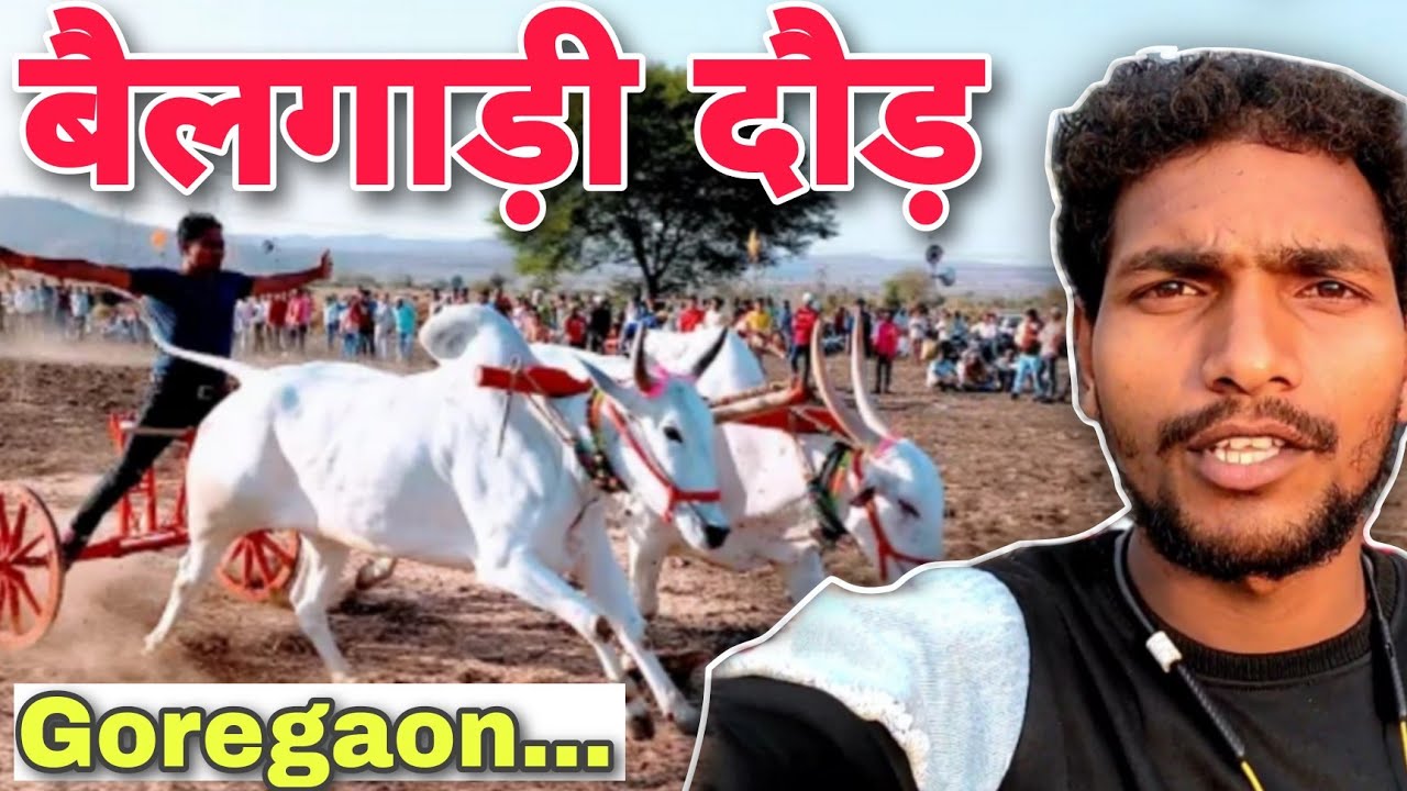 बैलगाडी दौड गोरेगांव| Indian Bulls Race | Village Bull Race | Bailgada ...