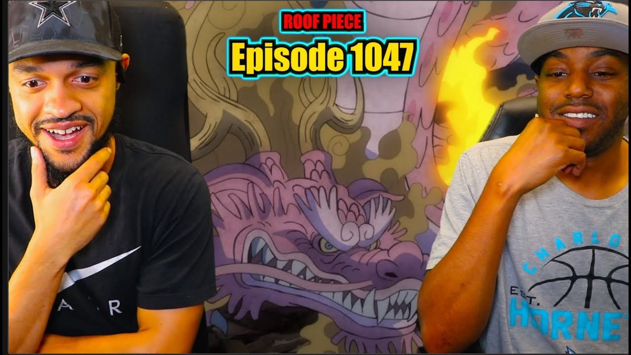 Big Boy Dragon Momo! One Piece EP 1047 Reaction - YouTube