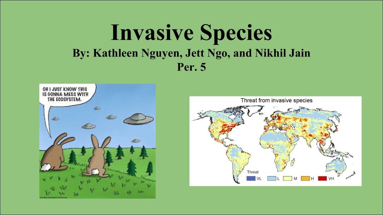 Invasive Species PSA - YouTube