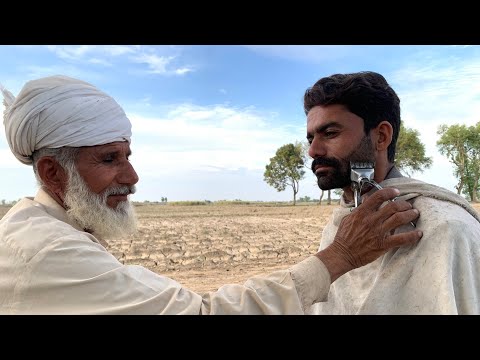 ASMR Fast Beard Shaving With ZAZA Machine But Barber Old!!