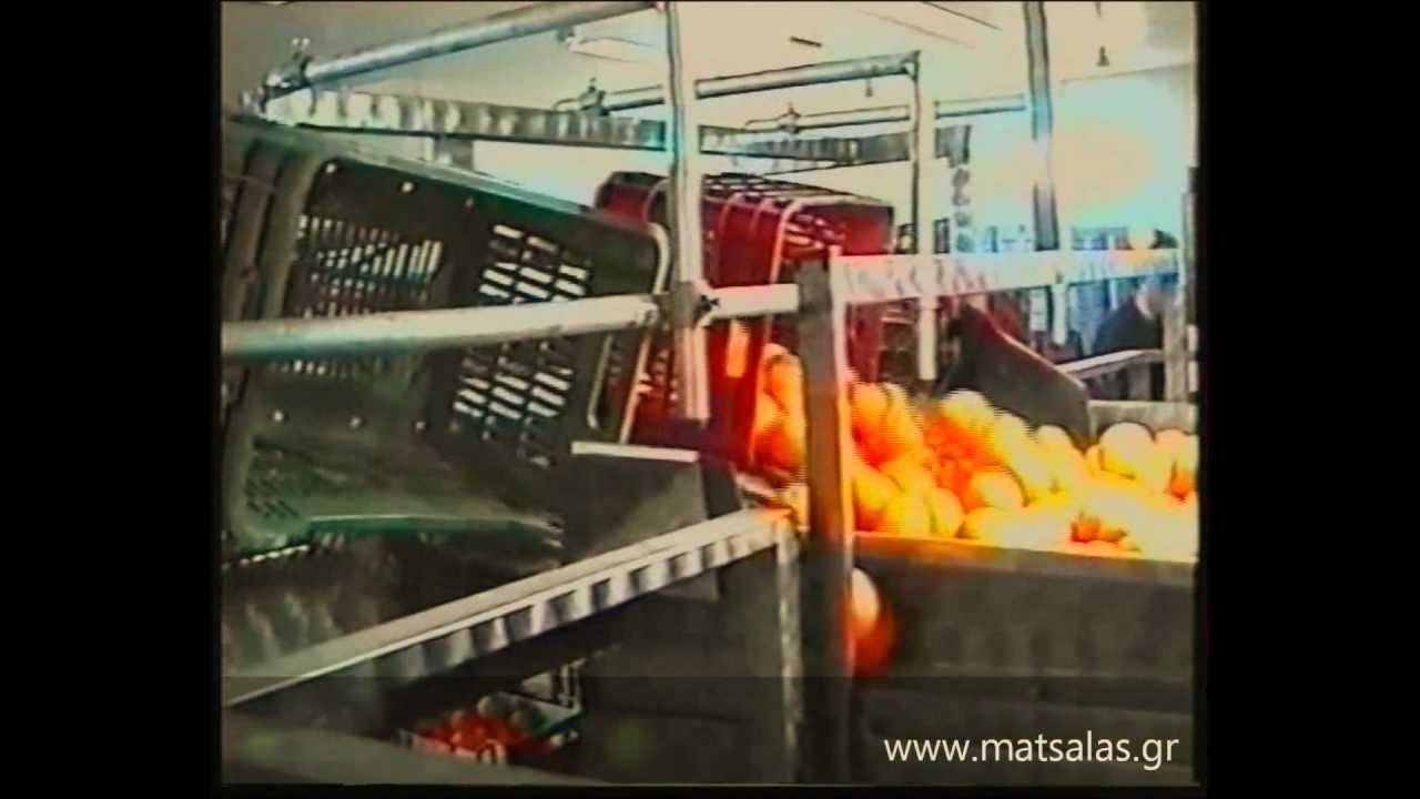 ΤΡΟΦΟΔΟΣΙΑ ΠΟΡΤΟΚΑΛΙΩΝ - YouTube