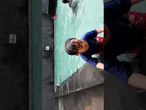 Aksi bocah berenang di Hotel Aston Denpasar