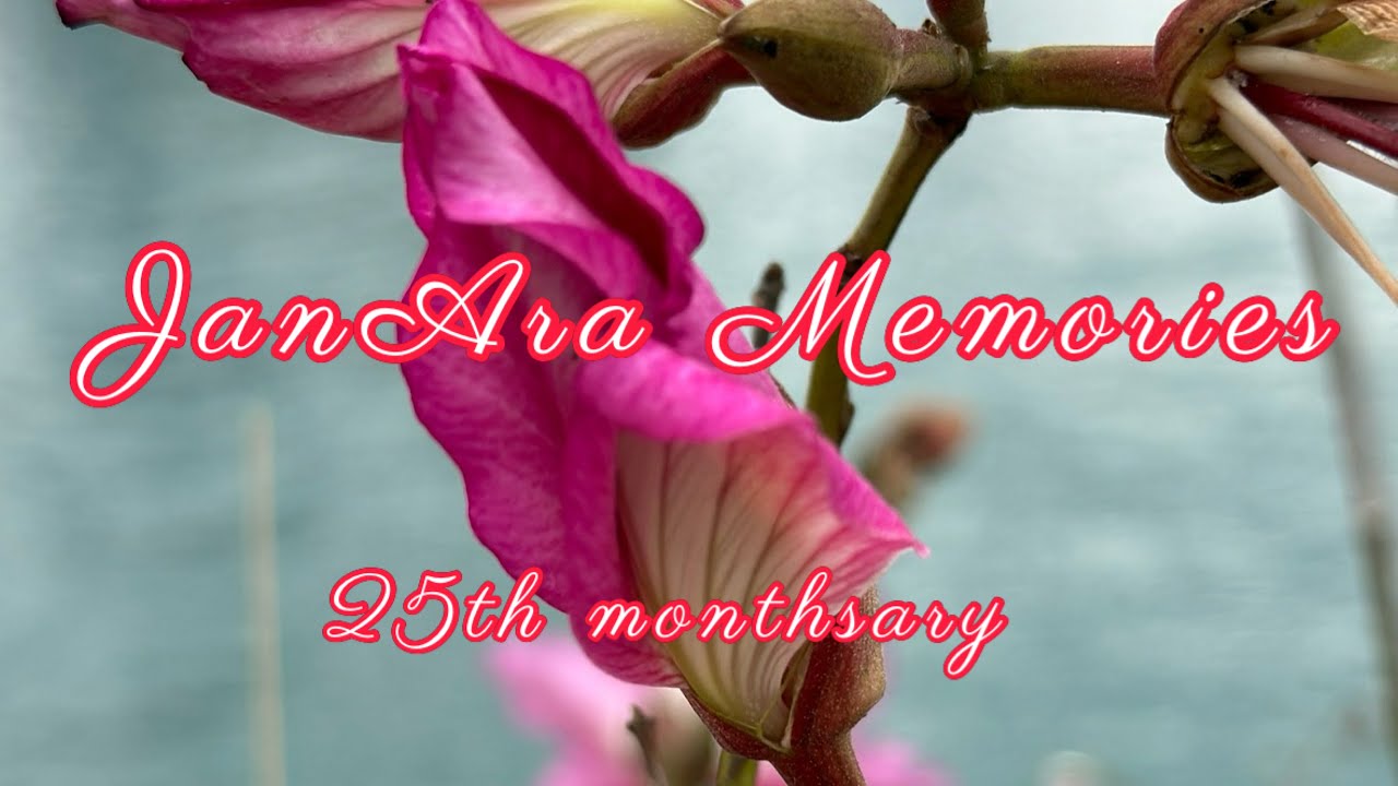 JanAra's Memories (25th months) - YouTube