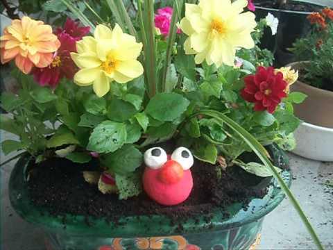 Elmo Flower Pot - YouTube