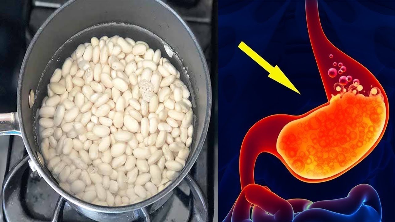 Kujdes, fasulja mund të jetë shkak i shumë sëmundje, ja çfarë duhet të ...