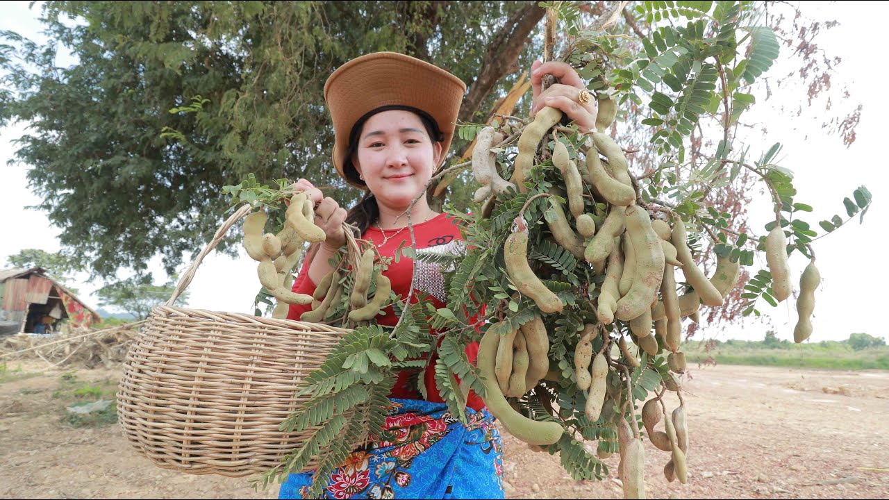 Pick Tamarind For Tamarind Pickle | Tamarind Pickle Homemade | Sros ...