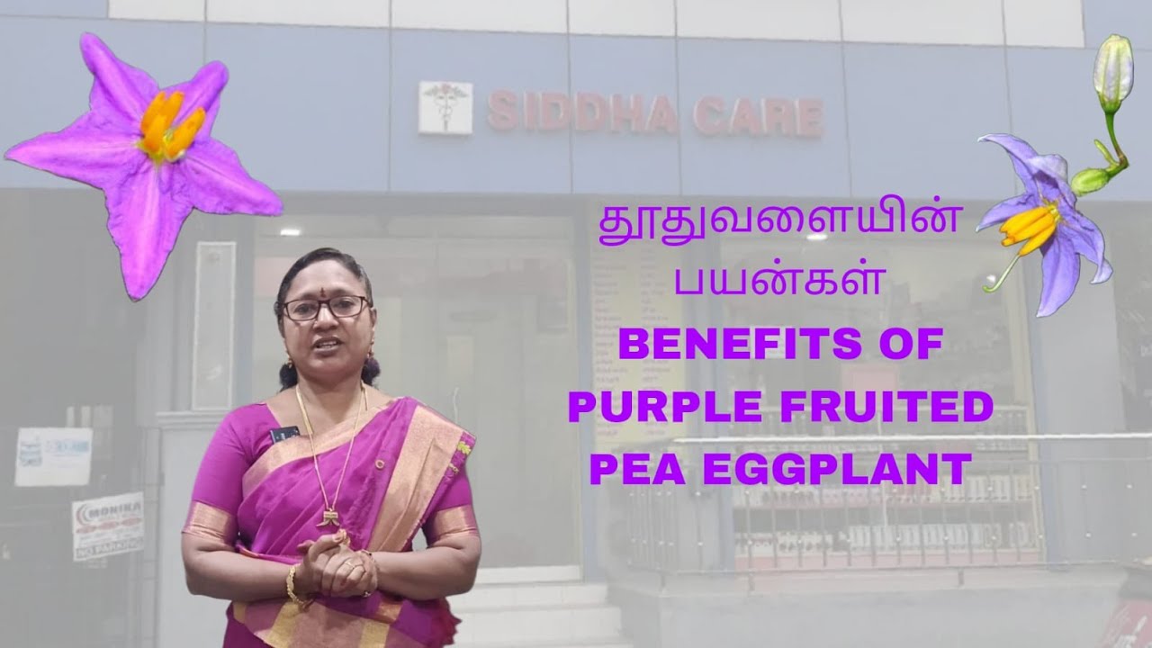 BENEFITS OF THOOTHUVALAI - YouTube