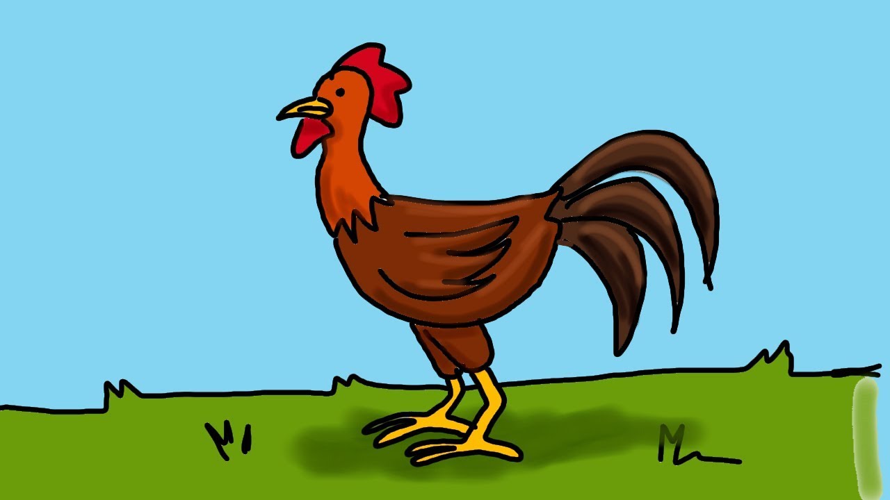 Menggambar Ayam Jago - Draw Chicken - YouTube