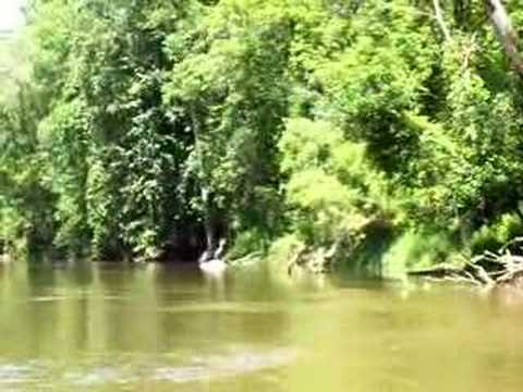 Heron on the Cass River in the Thumb area of Michigan - YouTube