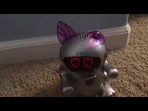 Robo Chi Pets: Meow Chi - ALL 8 SONGS - YouTube