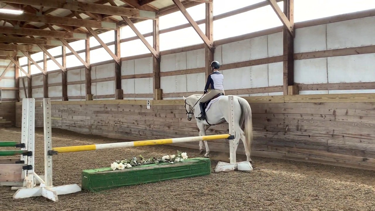 COVID-19 Online Horse Show, April 2020: Caroline Witt - Intermediate ...