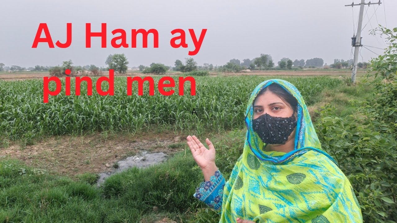 Village life AJ Ham ay pind men - YouTube
