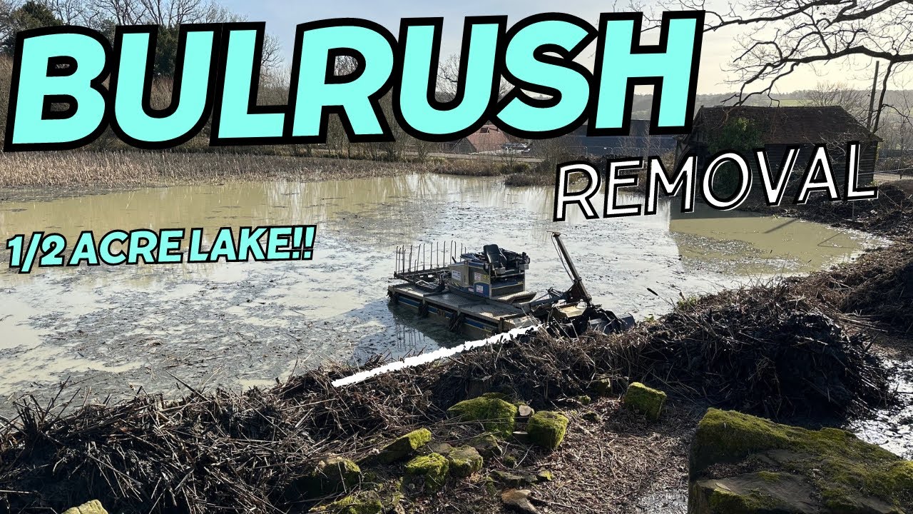 EP1 - 1/2 an acre of Bulrush removed!! - YouTube